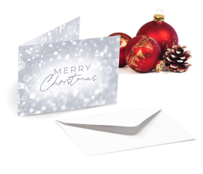 'Silver Snowflakes' - Preprinted Gift Card Wallets (pack of 100) | The ...